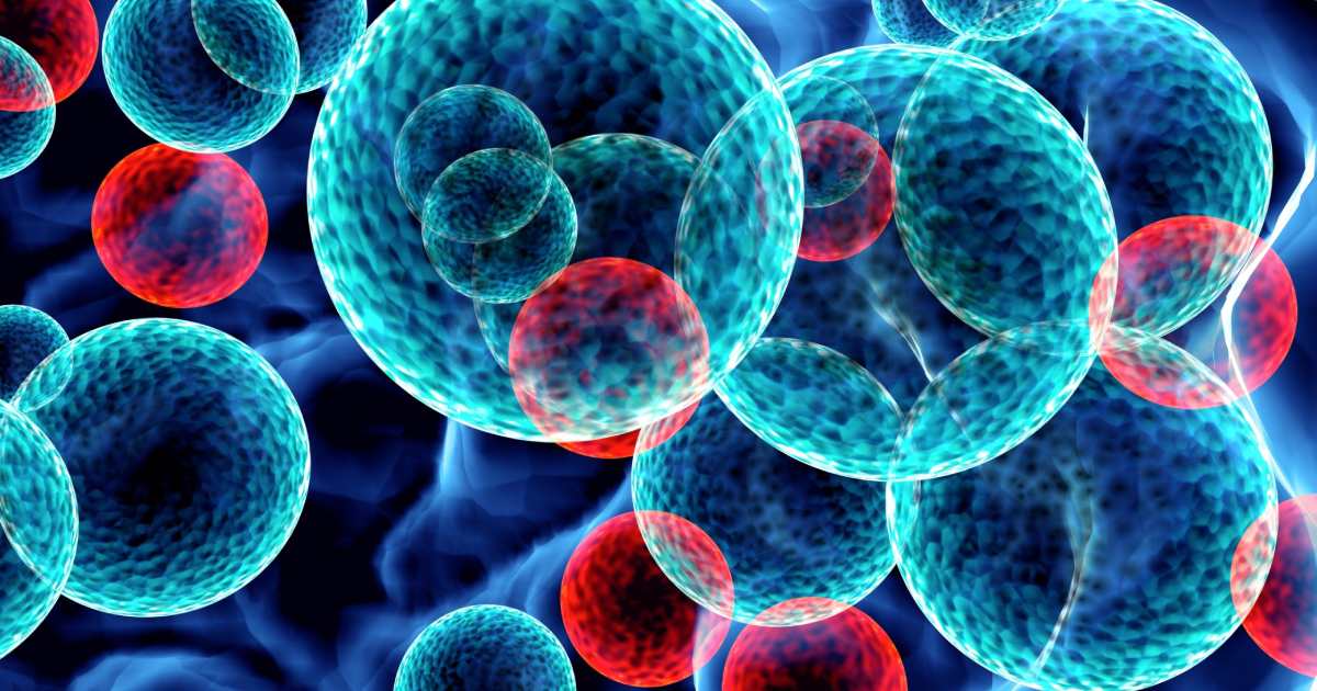 Northern Sydney Haematologist - Dr Ian Bilmon